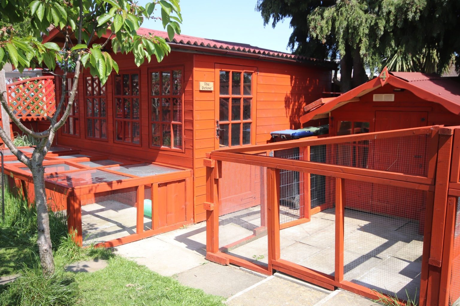 Small Animal Boarding | for Rabbits & Small Pets – Redbeck