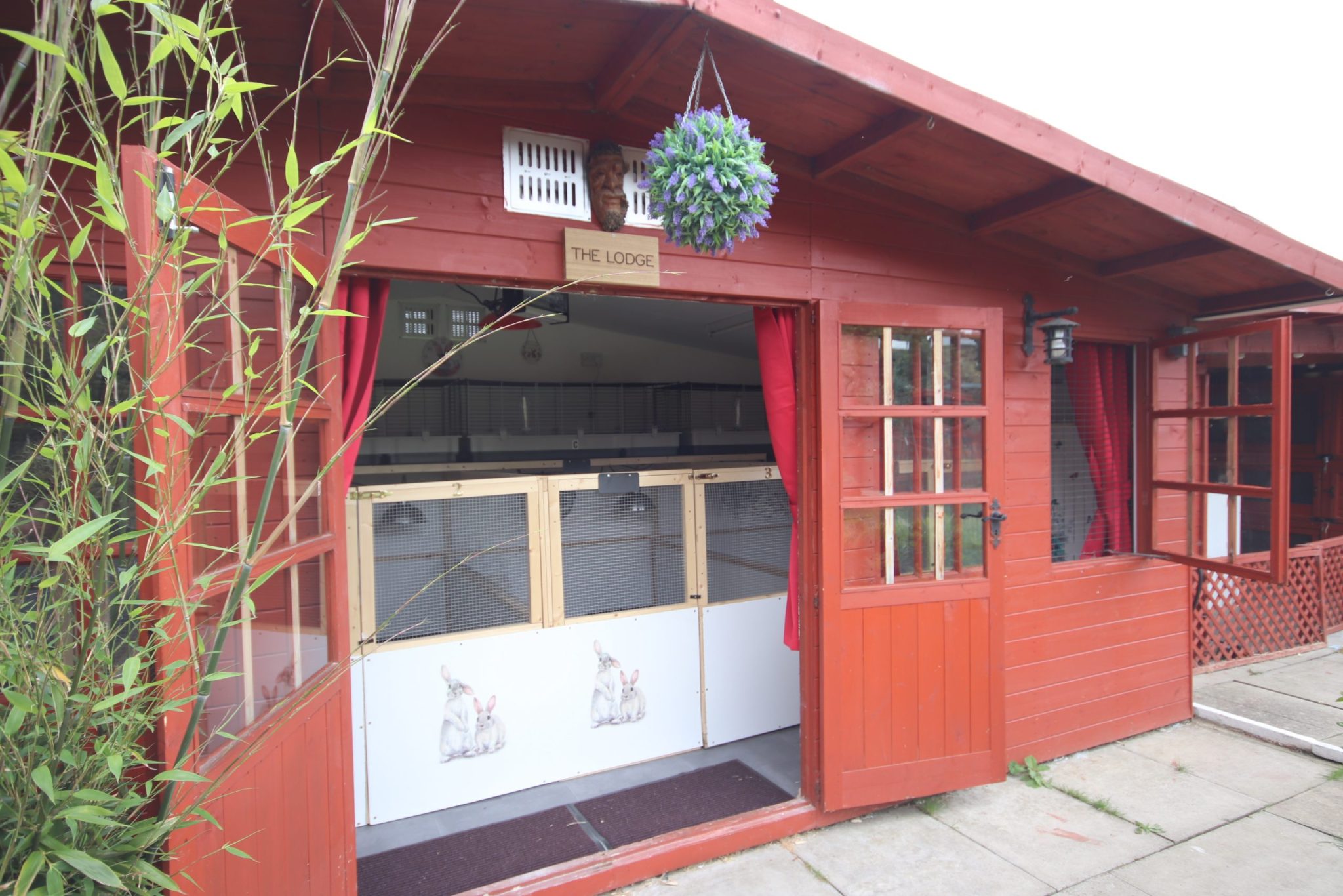 Small Animal Boarding | for Rabbits & Small Pets – Redbeck