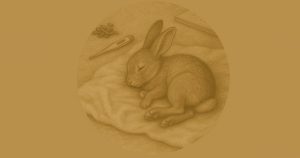 The Rabbit Gastrointestinal Tract - Redbeck Publications