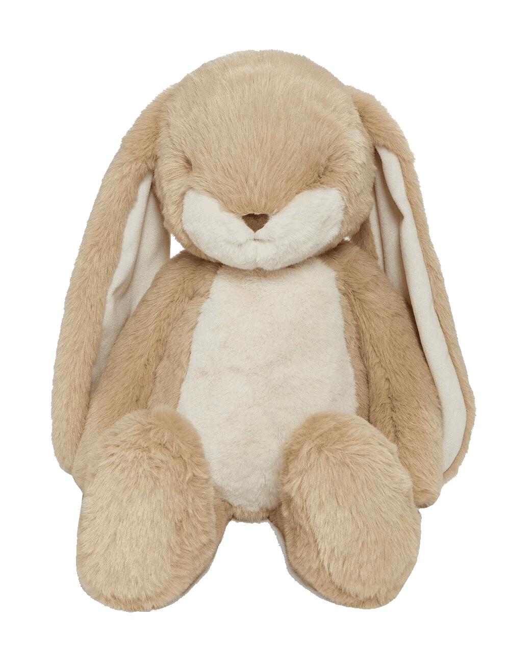 Rabbit Boarding Near You | Redbeck