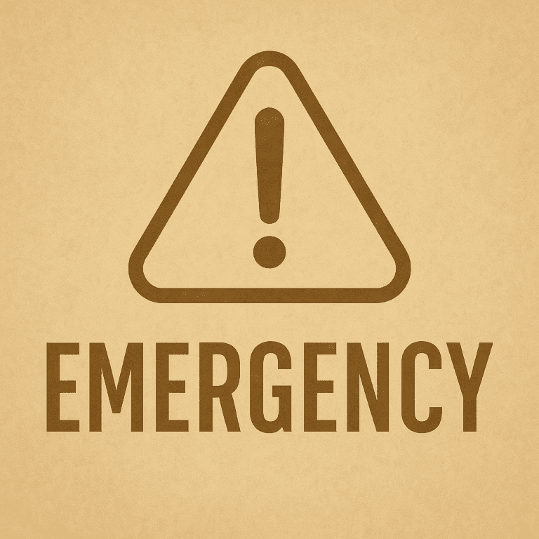 How Rabbits Regulate Body Temperature (And Why Heatwaves Can Kill)